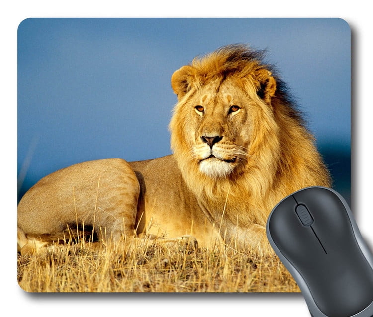 GCKG African Lion Mouse Pad Personalized Unique Rectangle Gaming ...