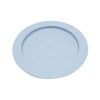 Inner lip plate, plastic, blue , 9" - Walmart.com