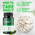 LipoFit Advanced Formula Pills Supporting Energy and Healthy Lifestyle ...