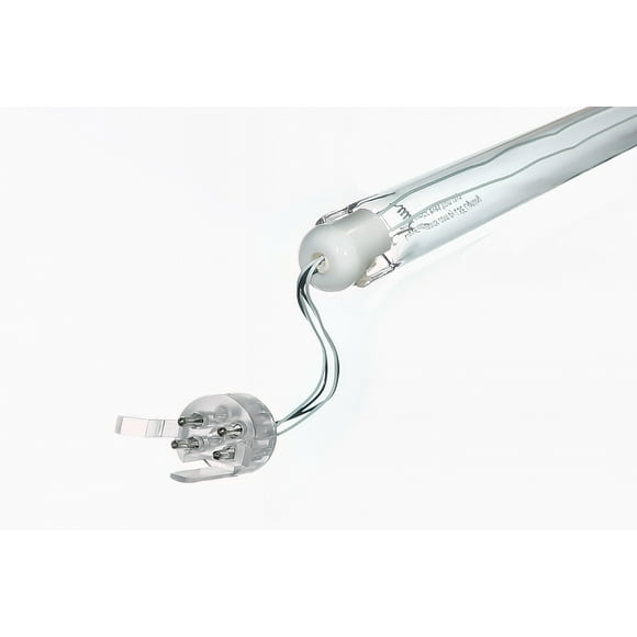 Ampoules à lumière noire et UV | Walmart Canada