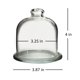 Mini Stand with Dome, Glass Food Preservation with Lid, 4.1 in ...