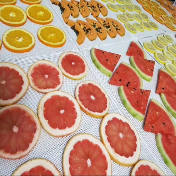 Silicone Dehydrator Sheets Reusable Food Dehydrator Sheets Dryer Mesh ...