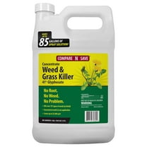 Ranger Pro Lawn Eliminator, Grass & Weed Killer Herbicide Concentrate ...
