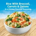 Birds Eye Frozen Seasoned Chicken Flavored Rice with Broccoli Carrots ...
