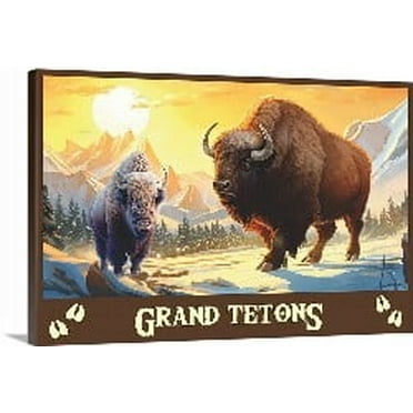 Funny Bison Poster - Yellowstone Buffalo Humor for Animal Lovers ...