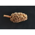 Magnolia Pine Cones - Stunning Magnolia Seed Pods, Great for Decorating ...