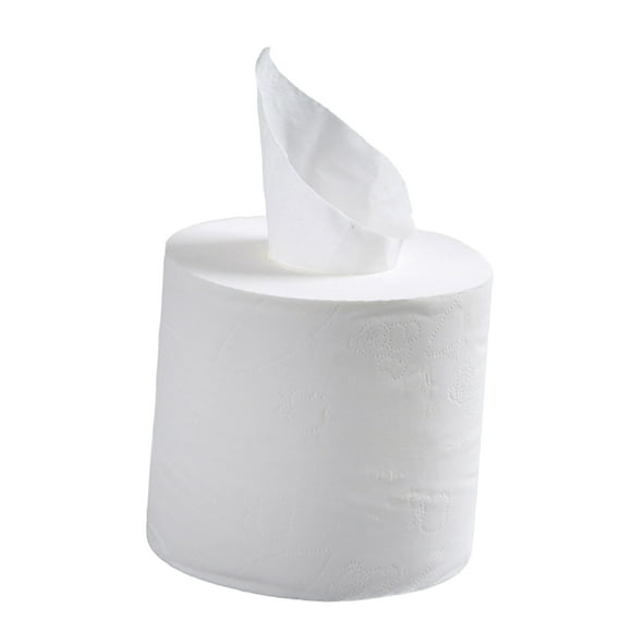 Papier hygiénique | Walmart Canada