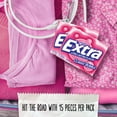Classic Bubble Sugar Chewing Gum 15 Count Pack Of 10
