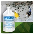 MediClean Disinfectant Spray Plus (STANDARD) - 1 CASE (221522000 ...
