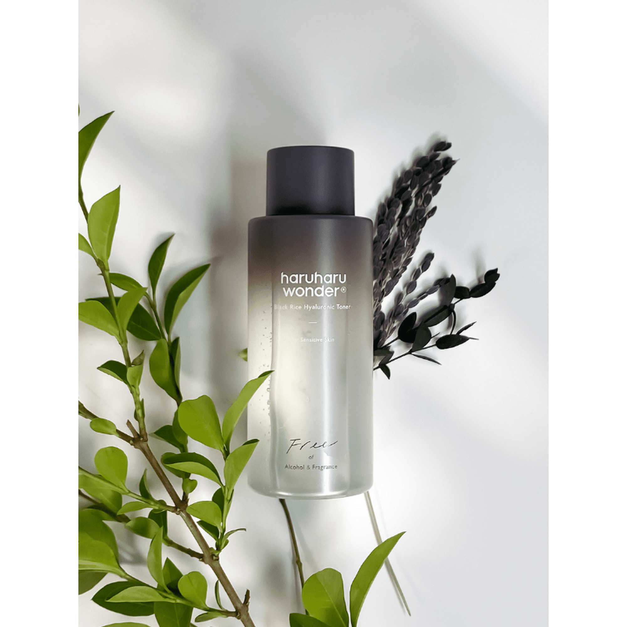 Click here for Haruharu Wonder Black Rice Hyaluronic Toner Free O... prices