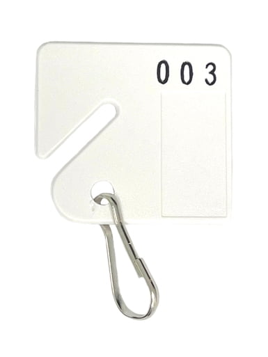 Lucky Line 25910 Square Notch Key Tag, White Numbered 1 to 100 (100 ...
