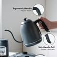BUYDEEM Gooseneck Electric Pour-Over Kettle, Stainless Steel Coffee Tea ...