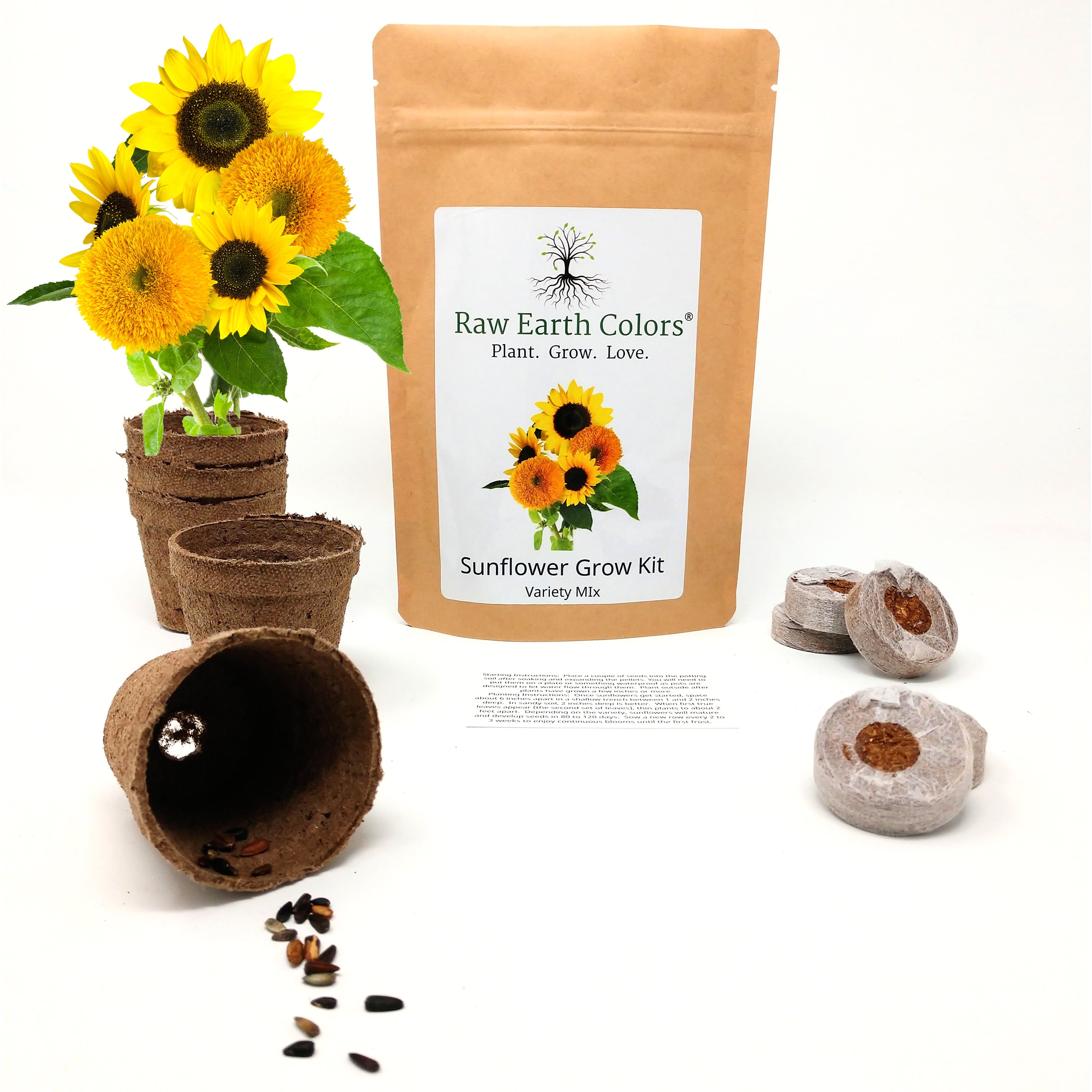 Dwarf Sunflower Grow Kit with Sunflower Seeds for Planting - Teddy Bear ...