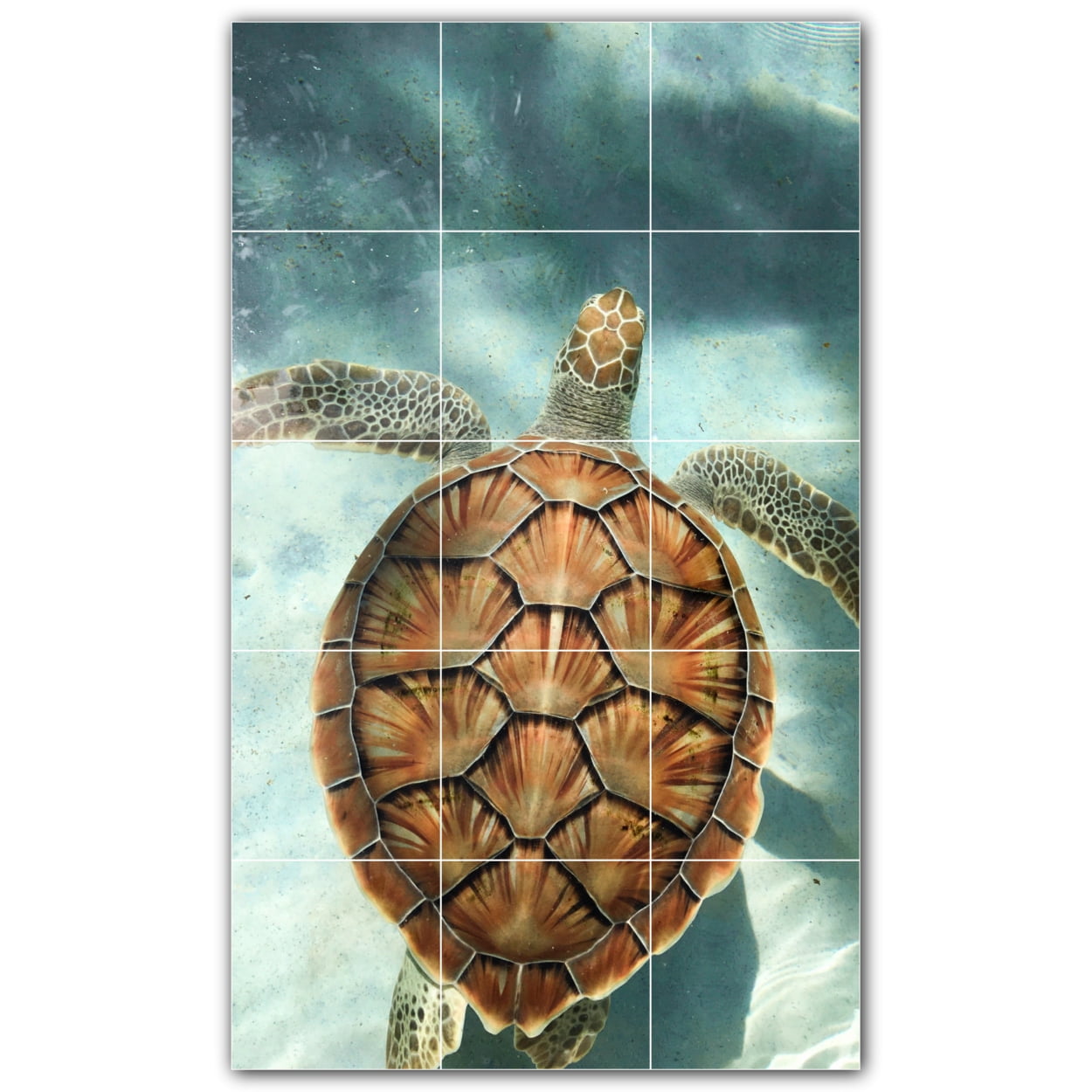 Picture-Tiles.com: Turtle Ceramic Tile Wall Mural WAL501049-35M. 18"W x ...
