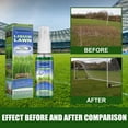 4 Pack Hydro Mousse Liquid Lawn Spray, Green Grass Seed Spray for Lawn ...