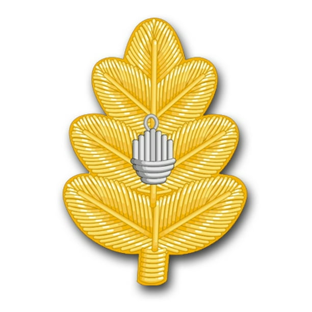 3.8 Inch Navy Medical Corps Oak Leaf Vinyl Transfer Decal - Walmart.com ...