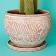 Large Terracotta Belly Pot Saucer - Walmart.com