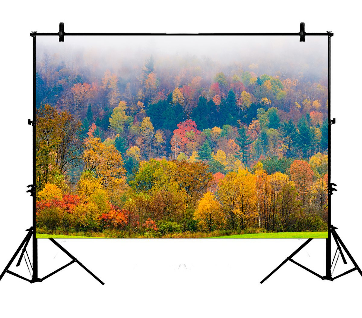 PHFZK 7x5ft Forest Landscape Backdrops, Field of Trees during Fall ...