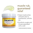 Botanic Choice Eucamint Pain Relief Ointment, Medicated Anti ...