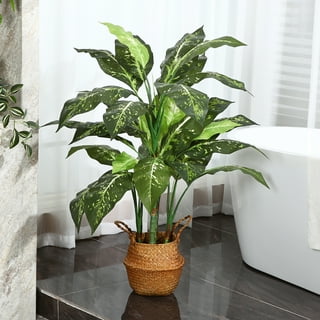 Serene Spaces Living Artificial Pepper Elder Tree in Pot-12" Dia & 43 ...
