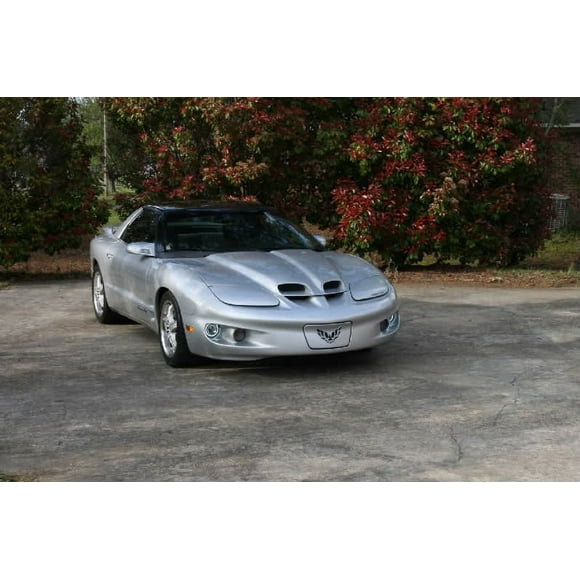 Ws6 Trans Am 2002