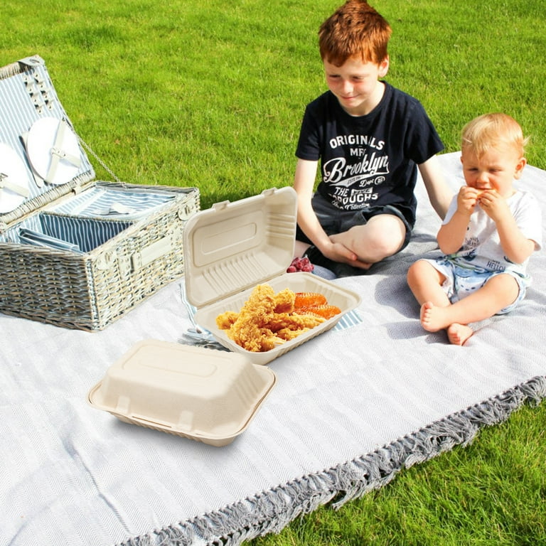 Carry Out Food Plate