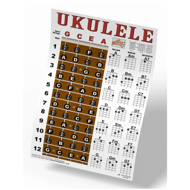 Ukulele Chord & Fretboard Note Chart - 11"x17" Easy Instructional ...