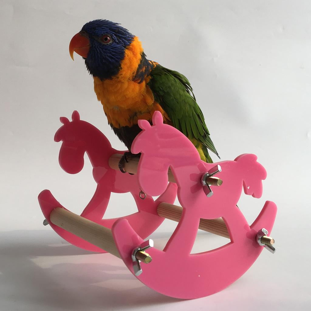 Teeterboard Cage Hanging And Chewing Toys for Birds Parrots Parakeet ...