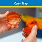 Raid Apple Fruit Fly Trap - Easy to Use, Effective, Pesticide-Free ...