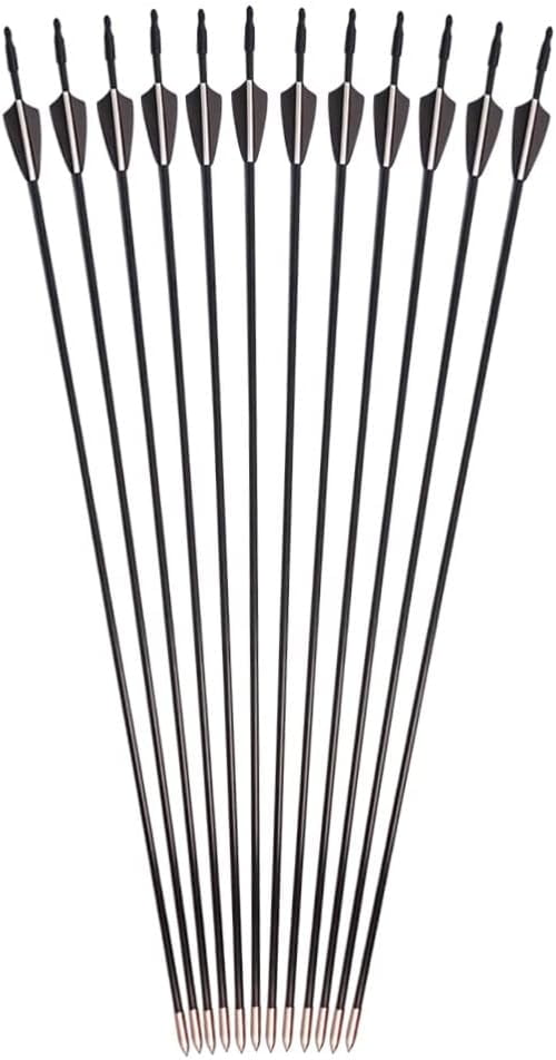 GPP Archery Beginner's First Arrows (30" Fiberglass Target Archery ...