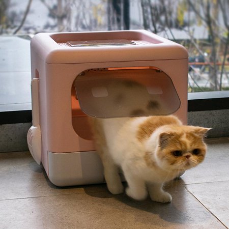 Foldable Cat Litter Box With Shovel Top Entry Splash-proof Kitten ...