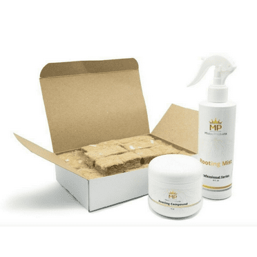 Quick Clone Gel - Most Advanced Cloning Gel for Faster, Healthier ...