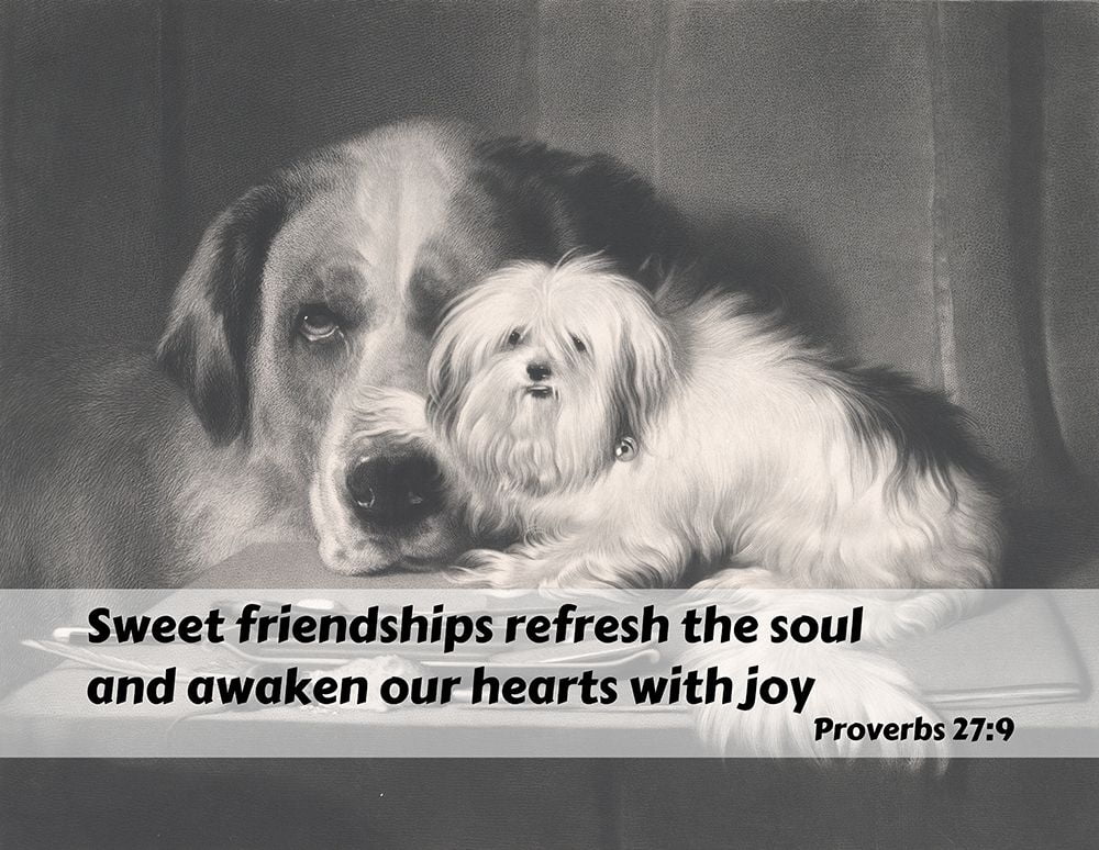 What The Bible Says About Dogs