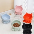 Cat Bowl Pet Accessories Ceramic Diagonal High Feet Cute Protection ...