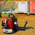 52CC Gas powered 2-Cycle Gas Backpack Leaf Blower with extention tube ...