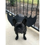 Halloween Cat Bat Wings Pet Costume for Halloween Party Decorations ...