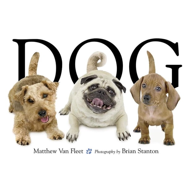 Dog (Board Book) - Walmart.com - Walmart.com