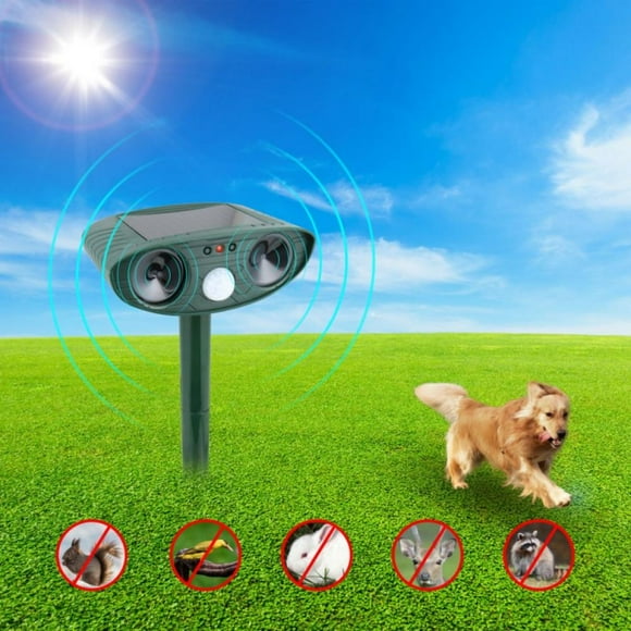 Motion Activated Animal Deterrent