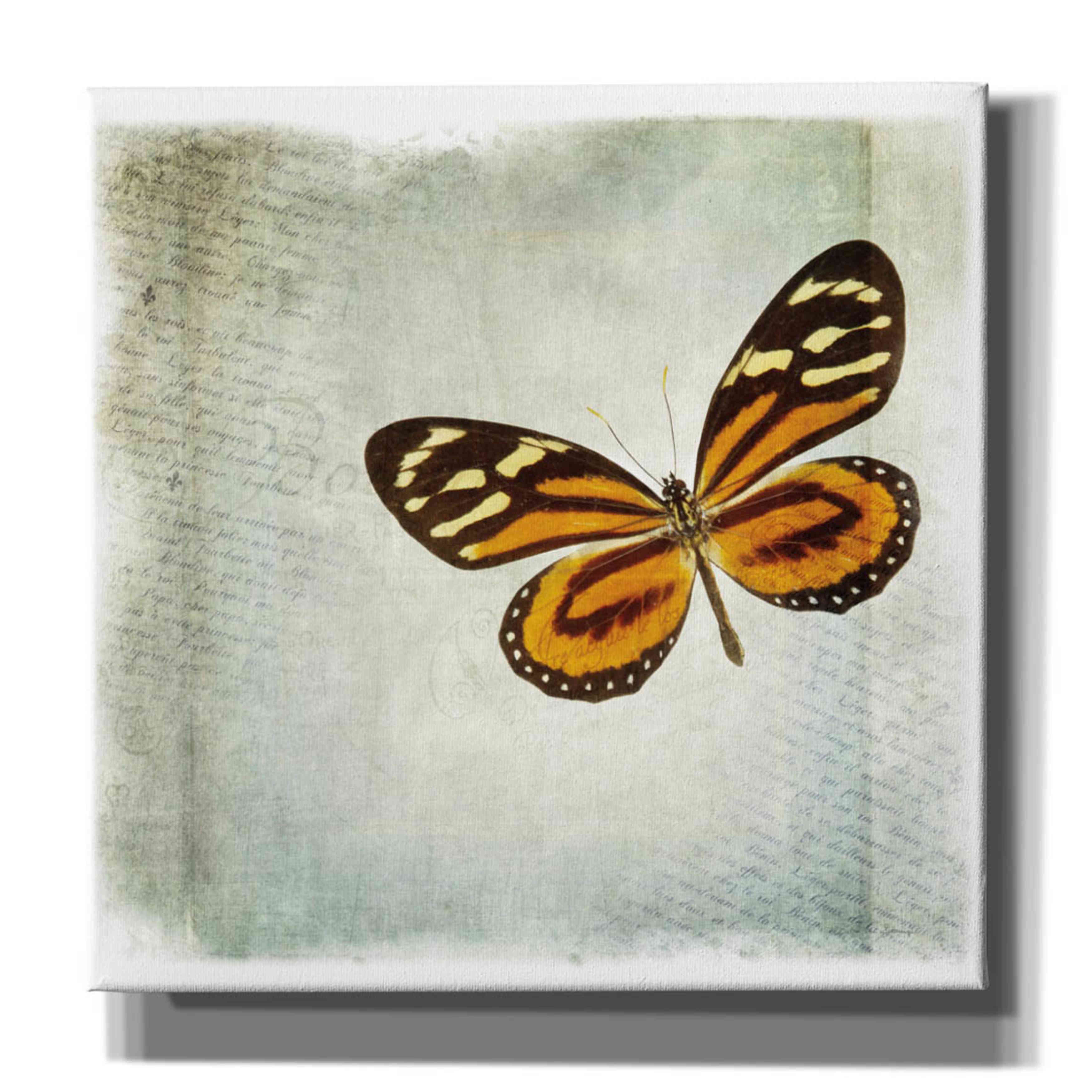 Epic Graffiti 'Floating Butterfly VI' by Debra Van Swearingen, Canvas ...