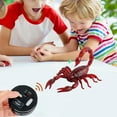 Simulation RC Spider Toy Remote Control Wireless Robot Tarantula ...