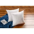 18×18 Premium Goose Down Feather Throw Pillow Inserts(Set of 2)-5% Down ...