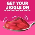 Jell-O Raspberry Artificially Flavored Gelatin Dessert Mix, Family Size ...