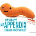 Massive Appendix Plush: Feel It In Your Gut! - Walmart.com