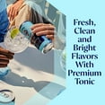Bombay Ready-to-Drink Gin and Light Tonic, 250 mL Can (Pack of 4), ABV ...
