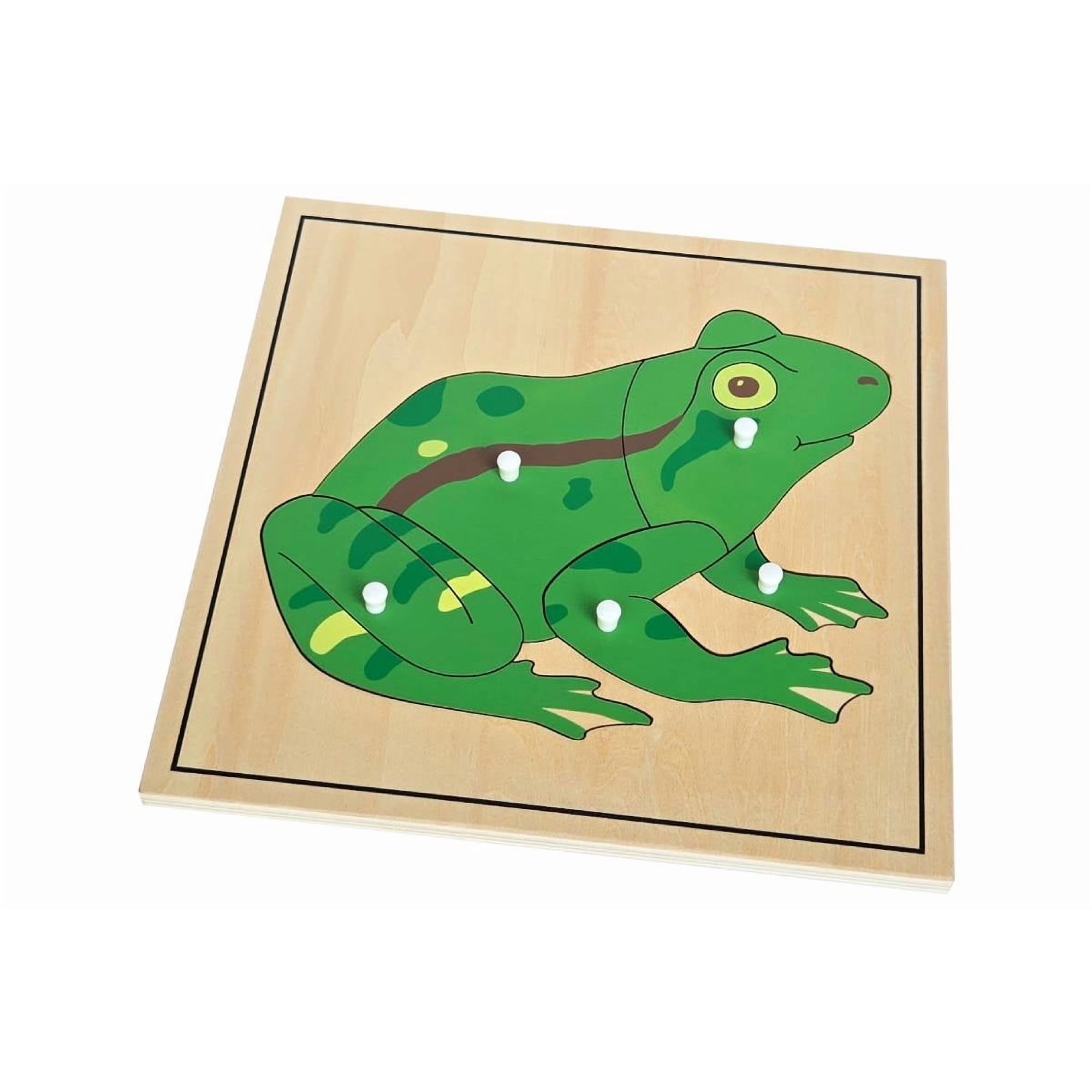 Click here for Ifit Montessori Frog Puzzle  Montessori Toys Zoolo... prices