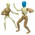 Super Articulated Type S 8 Inch Skeleton Action Figure - Walmart.com