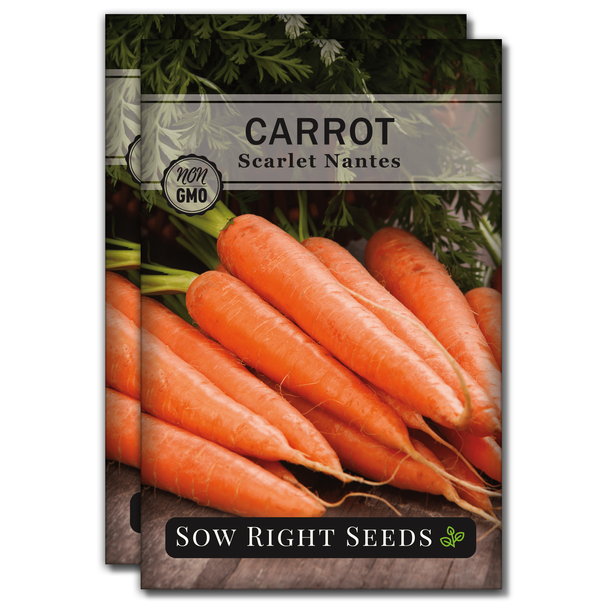 Scarlet Nantes Carrot Seeds - Non GMO Heirloom Varieties for your Home ...