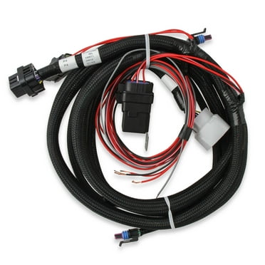 Holley EFI 558-104 Fuel Injection Harness - Walmart.com