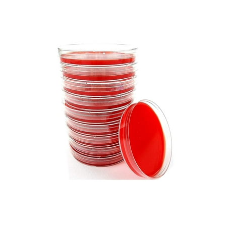 KSCD Red Blood Agar (RBA), TSA with 5% Sheep Blood (10-Pack). Pre ...