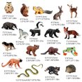 Authentic Wildlife Toy Figures Realistic Plastic Miniatures For ...